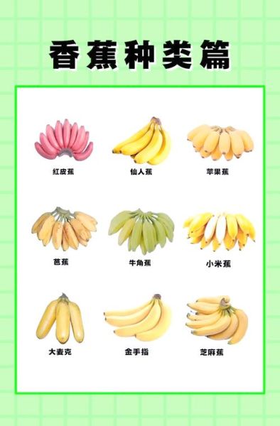 香蕉有哪些品种_香蕉六大种类区别-第3张图片-山城妙识