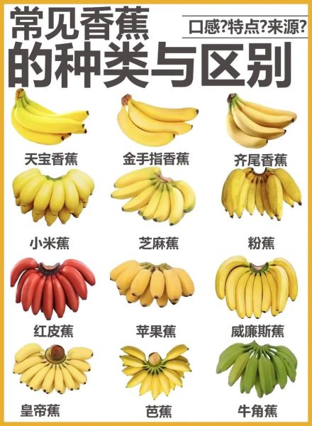 香蕉有哪些品种_香蕉六大种类区别-第1张图片-山城妙识