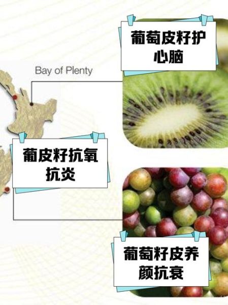 葡萄籽的功效与作用_葡萄籽有副作用吗-第3张图片-山城妙识