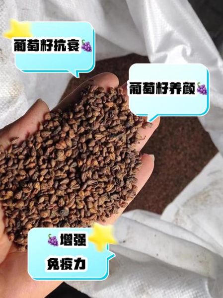 葡萄籽的功效与作用_葡萄籽有副作用吗-第2张图片-山城妙识