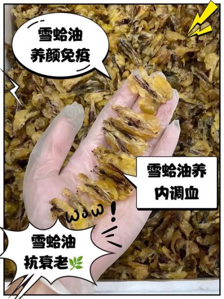 雪蛤对女性的功效与作用_雪蛤适合什么年龄吃-第2张图片-山城妙识 雪蛤对女性的功效与作用_雪蛤适合什么年龄吃-第2张图片-山城妙识