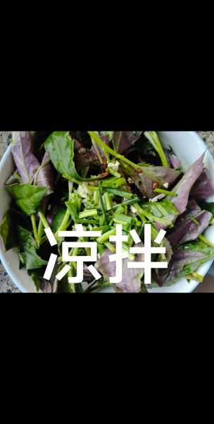 紫背天葵的功效与作用_紫背天葵怎么吃-第1张图片-山城妙识