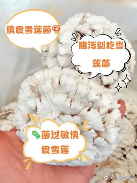 雪莲菌的危害有哪些_雪莲菌副作用真相-第2张图片-山城妙识