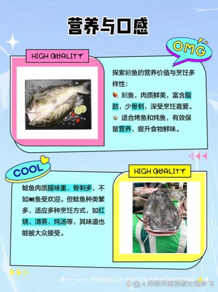 肥鲶鱼图片_如何分辨真假-第1张图片-山城妙识