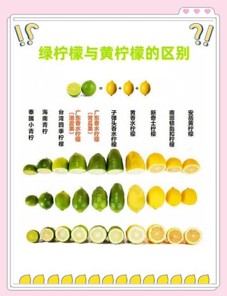 黄柠檬和青柠檬的功效区别_哪个更适合减肥-第1张图片-山城妙识 黄柠檬和青柠檬的功效区别_哪个更适合减肥-第1张图片-山城妙识
