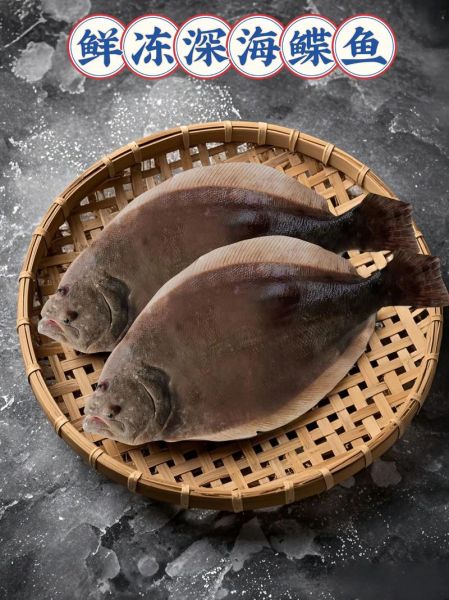 深海鲽鱼长什么样子_深海鲽鱼能吃吗-第1张图片-山城妙识 深海鲽鱼长什么样子_深海鲽鱼能吃吗-第1张图片-山城妙识