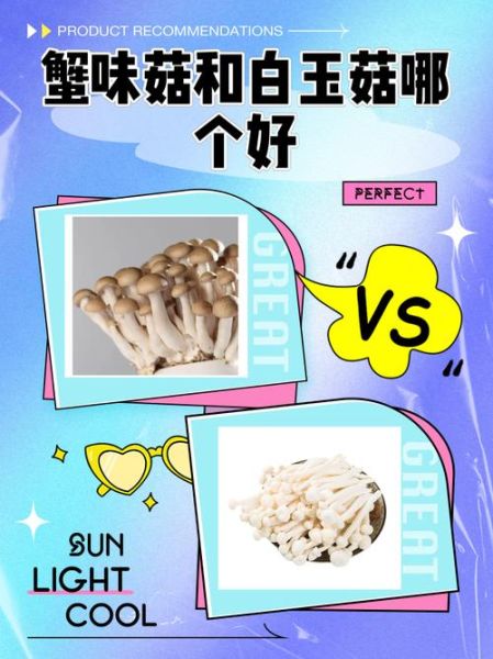 海鲜菇的功效与作用_海鲜菇怎么吃最营养-第1张图片-山城妙识 海鲜菇的功效与作用_海鲜菇怎么吃最营养-第1张图片-山城妙识