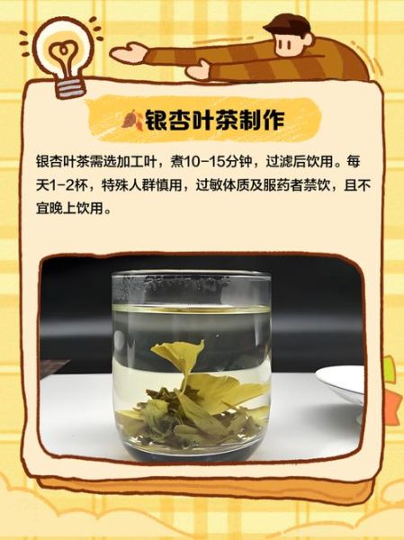 银杏树叶的功效与作用_银杏树叶怎么泡水喝-第3张图片-山城妙识