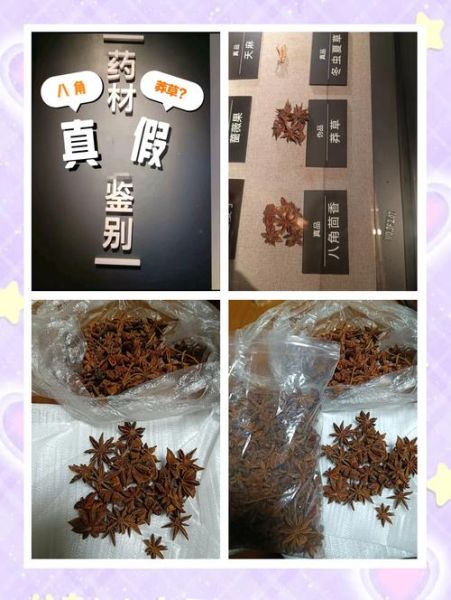 莽草和八角的区别_如何一眼识别真假八角-第1张图片-山城妙识 莽草和八角的区别_如何一眼识别真假八角-第1张图片-山城妙识
