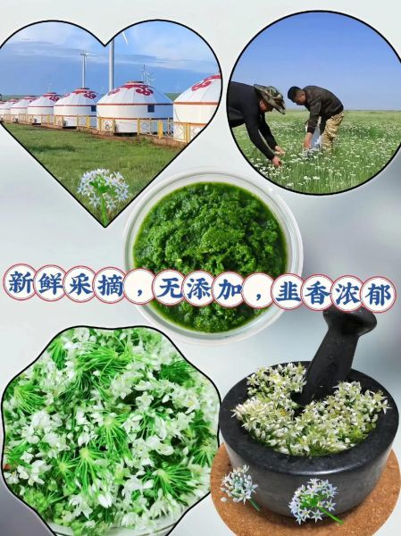 内蒙古韭菜花酱怎么做_正宗做法步骤-第1张图片-山城妙识