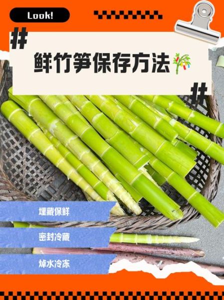 新鲜竹笋怎么保存_新鲜竹笋的做法大全-第1张图片-山城妙识