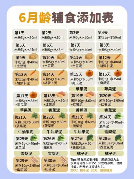 宝宝辅食添加顺序_6个月宝宝辅食食谱大全-第2张图片-山城妙识