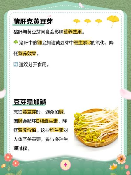 黄豆芽的营养价值_吃黄豆芽能减肥吗-第2张图片-山城妙识 黄豆芽的营养价值_吃黄豆芽能减肥吗-第2张图片-山城妙识