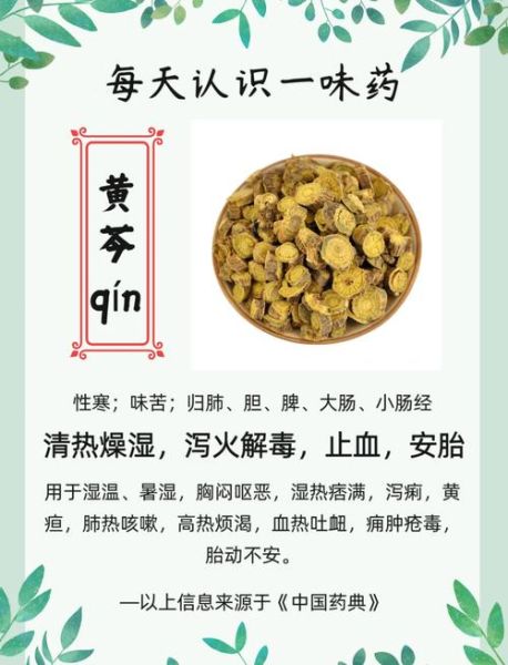 黄芩的功效与作用_黄芩泡水喝有什么好处-第1张图片-山城妙识