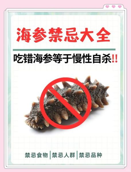 海参不适合吃的人群_哪些人不能吃海参-第2张图片-山城妙识