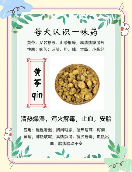 黄芩的功效与作用_黄芩泡水喝有什么好处-第3张图片-山城妙识