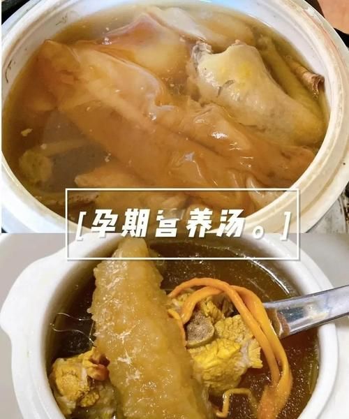鸽子汤补什么_孕妇能吃鸽子吗-第3张图片-山城妙识