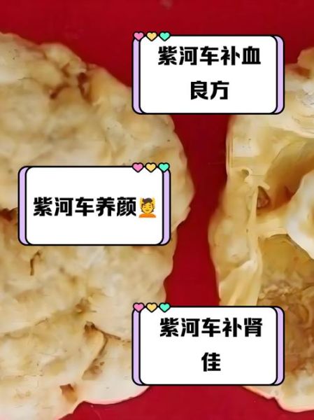 紫河车功效与作用_紫河车怎么吃效果最好-第3张图片-山城妙识 紫河车功效与作用_紫河车怎么吃效果最好-第3张图片-山城妙识