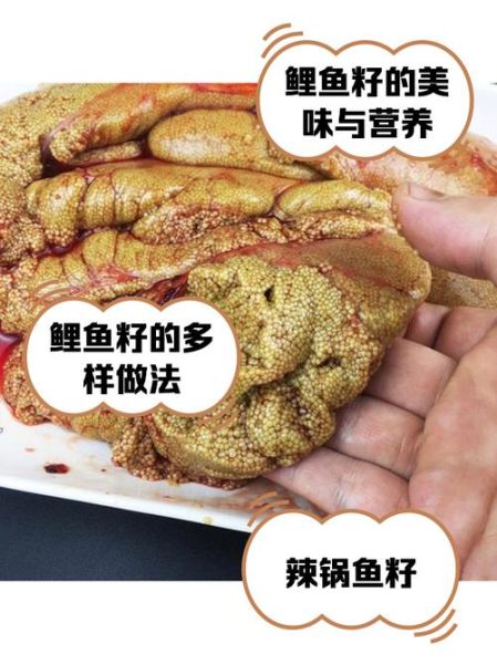 鲤鱼籽怎么做好吃_鲤鱼籽的家常做法大全-第3张图片-山城妙识