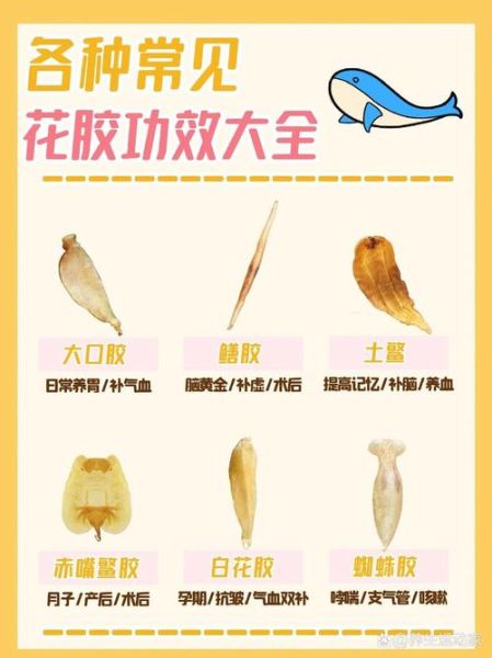 花胶怎么选_花胶的功效与作用-第3张图片-山城妙识 花胶怎么选_花胶的功效与作用-第3张图片-山城妙识