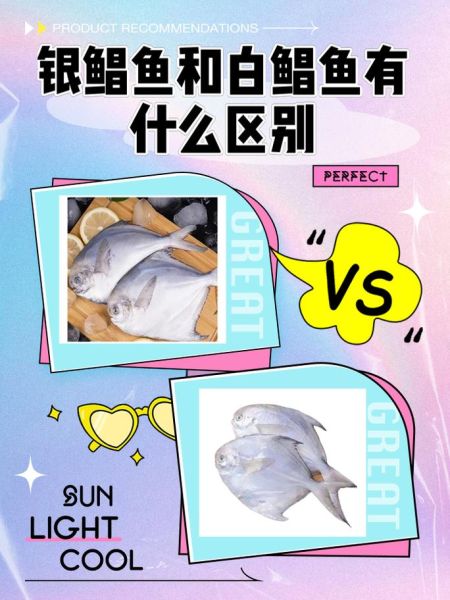 鲳鱼种类有几种_常见鲳鱼品种及区别-第1张图片-山城妙识