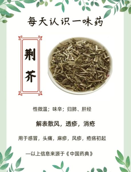 荆芥草的功效与作用_荆芥草怎么用-第1张图片-山城妙识