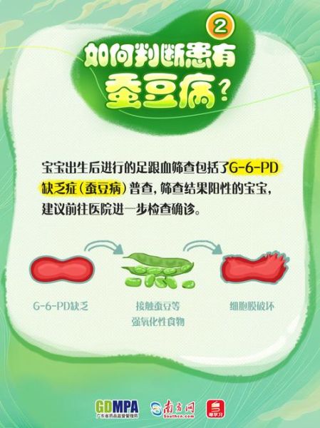 蚕豆病长大了还怕不怕_成年后注意事项-第3张图片-山城妙识