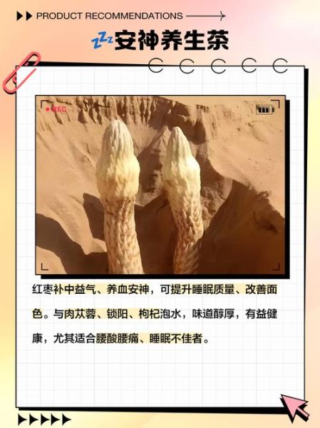 锁阳肉苁蓉泡水喝的功效_适合人群与禁忌-第1张图片-山城妙识