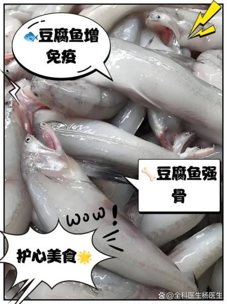 鱼豆腐的功效与作用_适合减肥吃吗-第1张图片-山城妙识