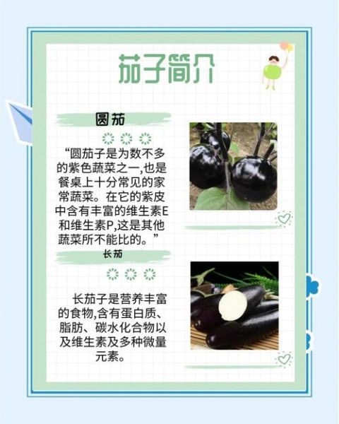 茄子有什么营养价值_茄子功效与作用有哪些-第1张图片-山城妙识