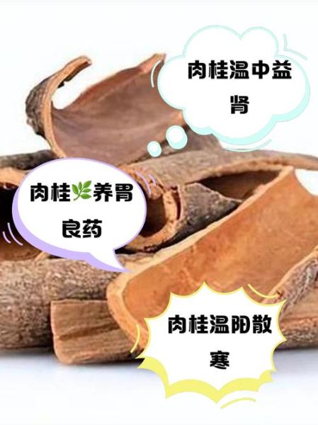 肉桂叶的功效与作用_肉桂叶能降血糖吗-第1张图片-山城妙识 肉桂叶的功效与作用_肉桂叶能降血糖吗-第1张图片-山城妙识