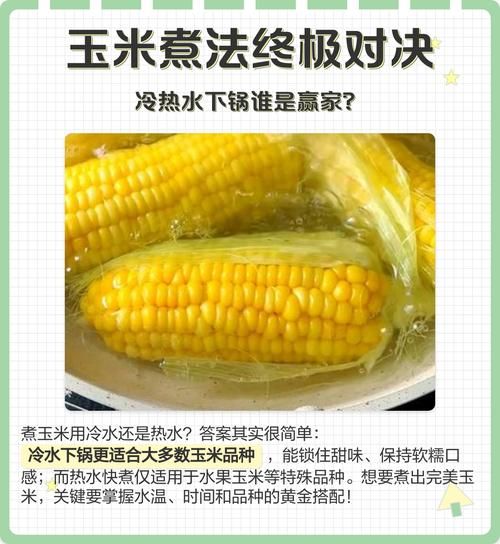 糯玉米煮多久_糯玉米冷水下锅还是热水-第1张图片-山城妙识 糯玉米煮多久_糯玉米冷水下锅还是热水-第1张图片-山城妙识