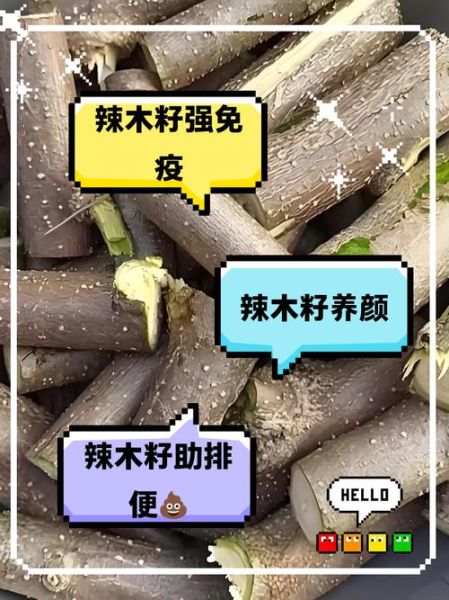 辣木籽的功效与副作用_哪些人不能吃-第3张图片-山城妙识