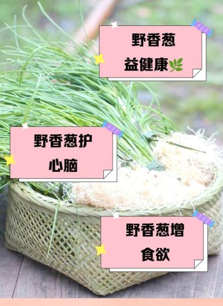香葱的营养价值_香葱的功效与作用-第2张图片-山城妙识