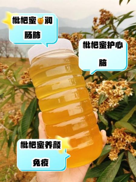 枇杷蜂蜜的作用与功效_枇杷蜂蜜怎么吃最好-第3张图片-山城妙识