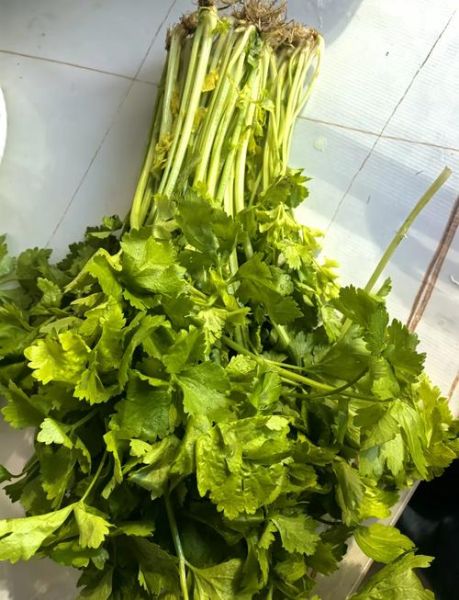 芹菜猪肉饺子馅怎么调味_芹菜猪肉饺子馅的做法-第3张图片-山城妙识 芹菜猪肉饺子馅怎么调味_芹菜猪肉饺子馅的做法-第3张图片-山城妙识