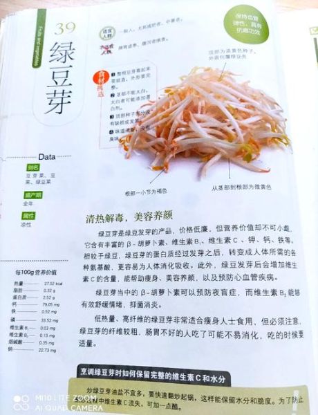 绿豆芽的营养价值_绿豆芽怎么吃最健康-第1张图片-山城妙识 绿豆芽的营养价值_绿豆芽怎么吃最健康-第1张图片-山城妙识