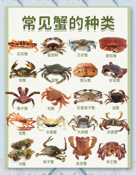 红花蟹和兰花蟹哪个贵_价格差异有多大-第1张图片-山城妙识