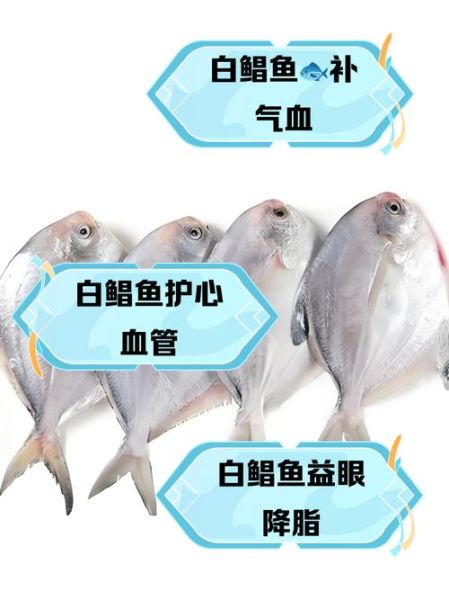 白鲳鱼和金鲳鱼的区别_哪个更好吃-第2张图片-山城妙识 白鲳鱼和金鲳鱼的区别_哪个更好吃-第2张图片-山城妙识