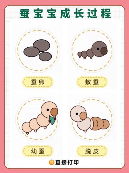 蚕图片大全大图_蚕的生长过程图片-第1张图片-山城妙识 蚕图片大全大图_蚕的生长过程图片-第1张图片-山城妙识