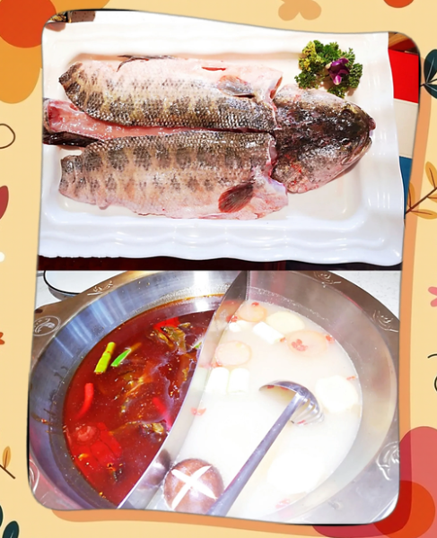 鱼肉火锅怎么做_鱼肉火锅底料怎么选-第1张图片-山城妙识