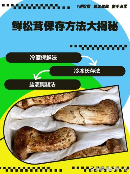 鲜松茸怎么保存_鲜松茸的家常做法大全-第1张图片-山城妙识