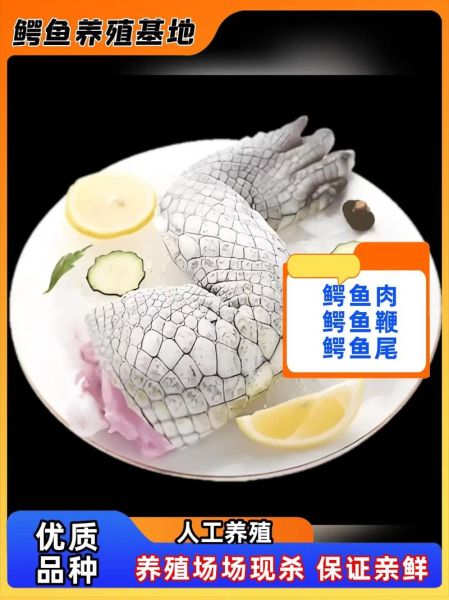 鳄鱼肉多少钱一斤_鳄鱼肉价格为什么这么贵-第2张图片-山城妙识