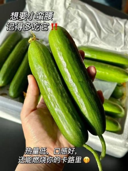 黄瓜幸福宝是什么_黄瓜幸福宝怎么用-第3张图片-山城妙识 黄瓜幸福宝是什么_黄瓜幸福宝怎么用-第3张图片-山城妙识