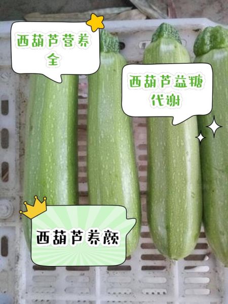 西胡瓜的营养价值_西胡瓜的功效与作用-第3张图片-山城妙识