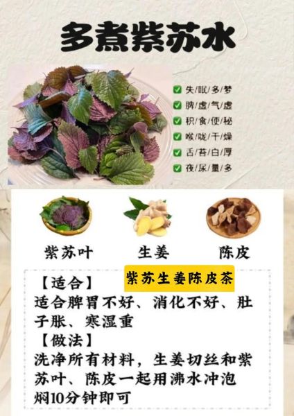 紫苏的功效与作用及食用方法_紫苏怎么吃最健康-第2张图片-山城妙识