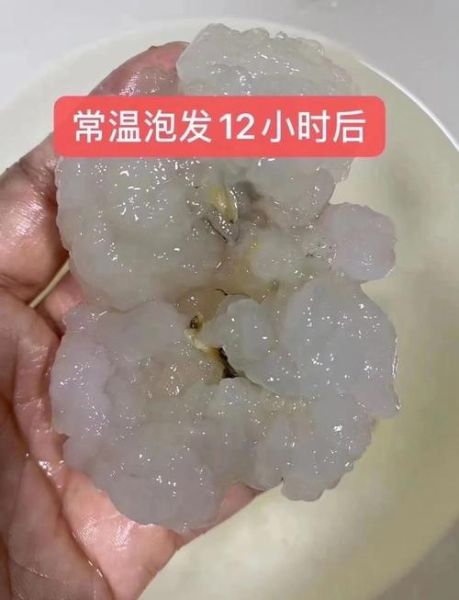 雪蛤和燕窝哪个更好_雪蛤和燕窝的区别与功效-第2张图片-山城妙识