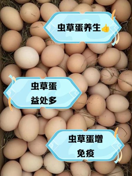 虫草鸡蛋的功效与作用_虫草鸡蛋适合什么人吃-第1张图片-山城妙识