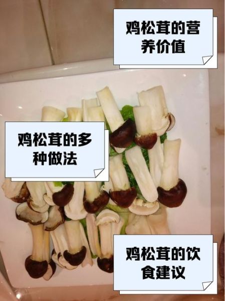 松茸炖鸡的做法窍门_松茸炖鸡怎么炖才香-第2张图片-山城妙识