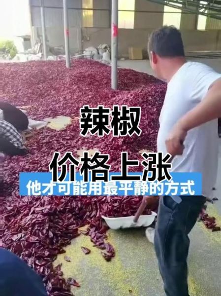 辣椒价格最新行情_辣椒为什么涨价-第1张图片-山城妙识 辣椒价格最新行情_辣椒为什么涨价-第1张图片-山城妙识
